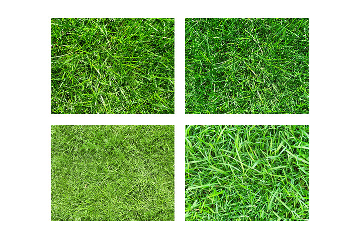 Green Grass Texture Photoshop|Grass Photoshop Texture – Full Bundle