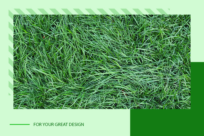 Green Grass Texture Photoshop|Grass Photoshop Texture – Full Bundle