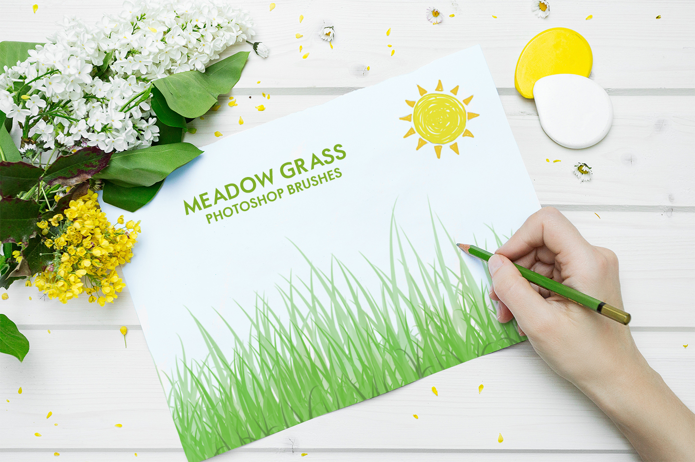 Meadow Grass Photoshop Brushes|30 Pro Grass Brushes Photoshop