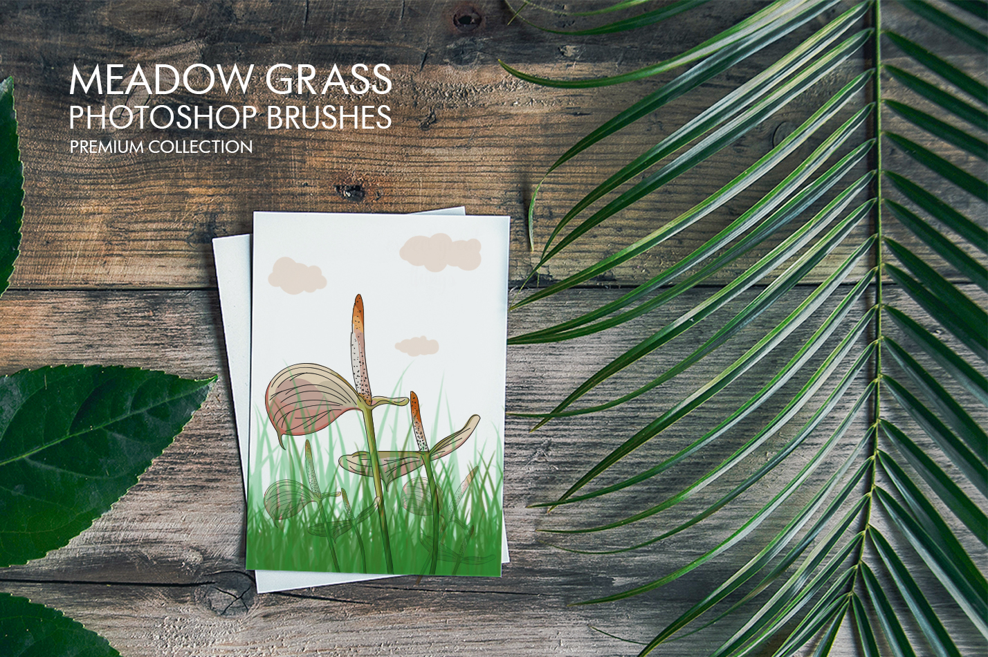 Meadow Grass Photoshop Brushes|30 Pro Grass Brushes Photoshop