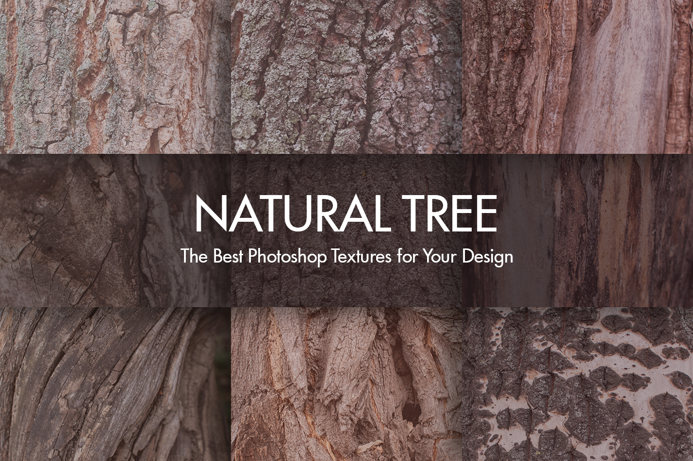 Natural Tree Photoshop Textures – Premium Collection