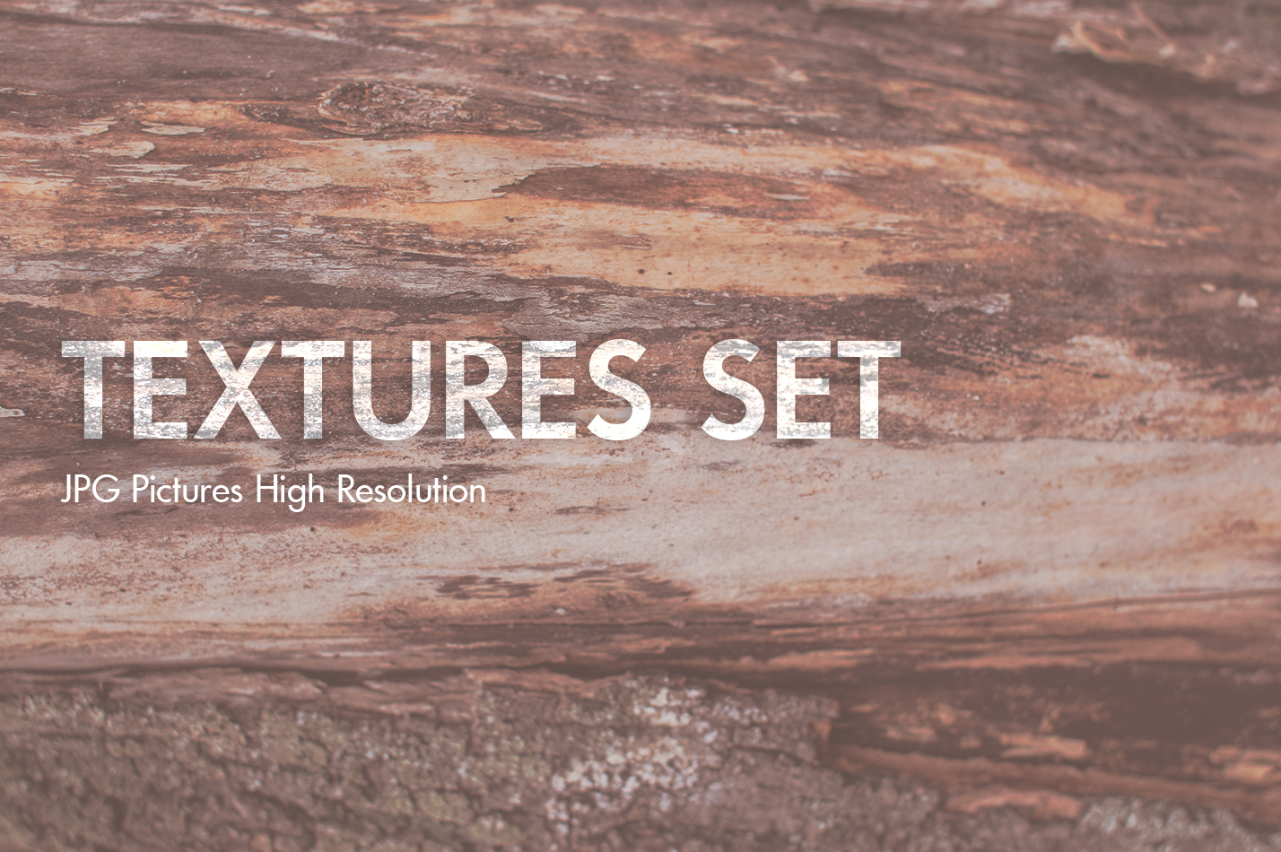 Natural Tree Photoshop Textures – Premium Collection