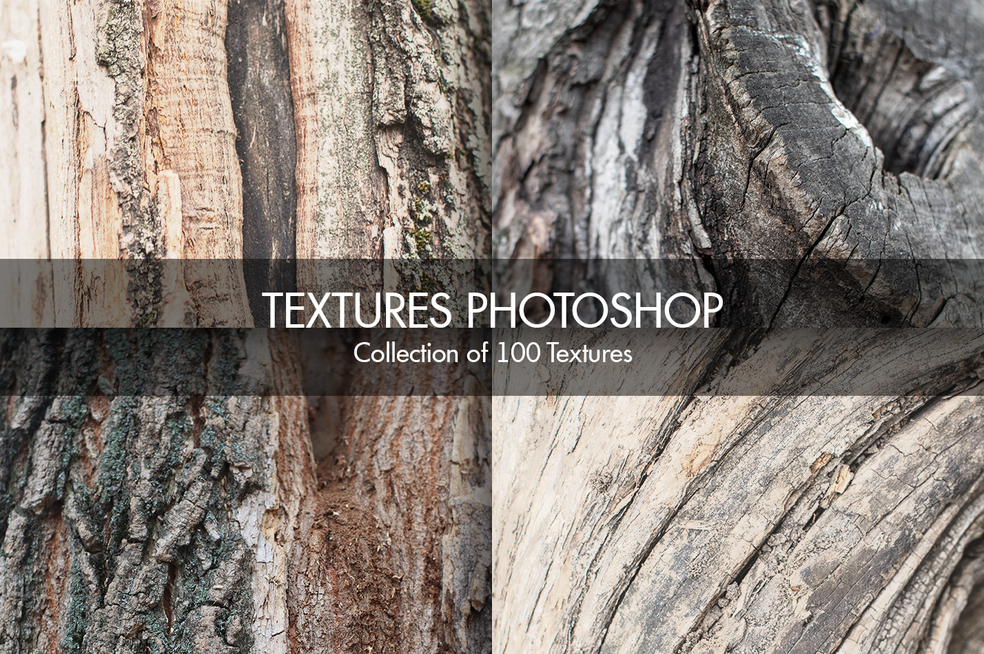 Natural Tree Photoshop Textures – Premium Collection