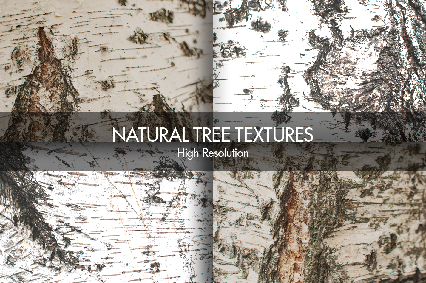 Natural Tree Photoshop Textures – Premium Collection