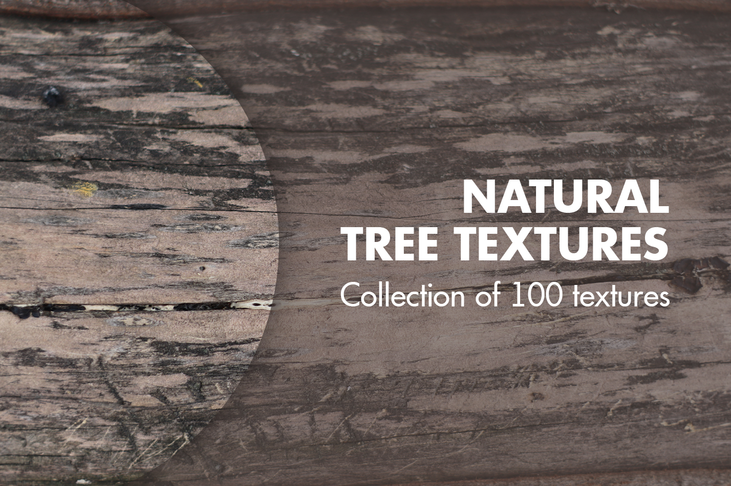 Natural Tree Photoshop Textures – Premium Collection