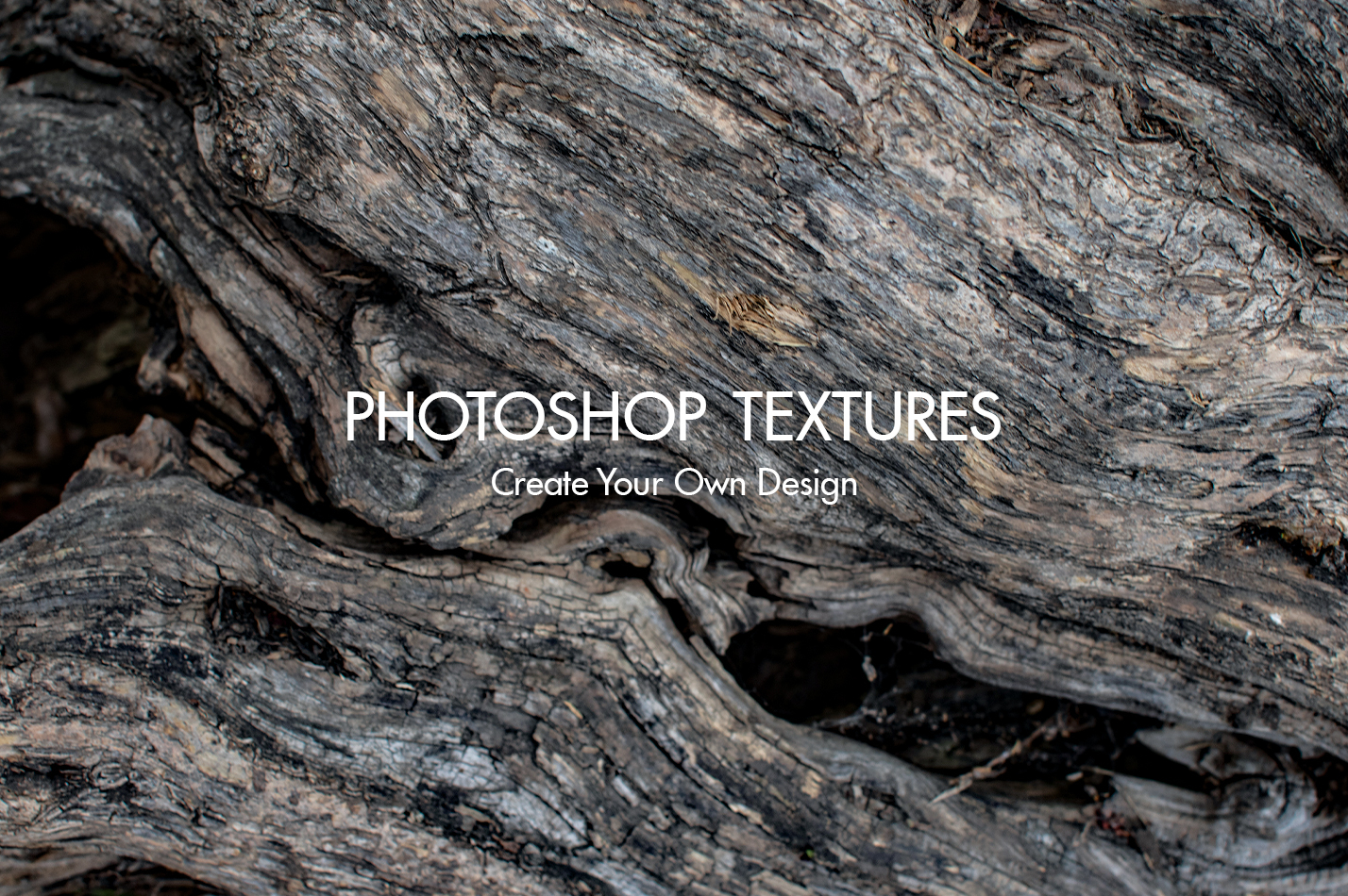 Natural Tree Photoshop Textures – Premium Collection