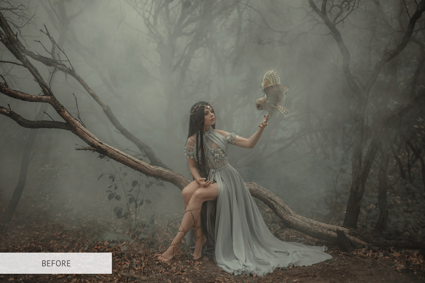 Photoshop Fog Overlay Bundle. Professional Fog Overlays for Photoshop