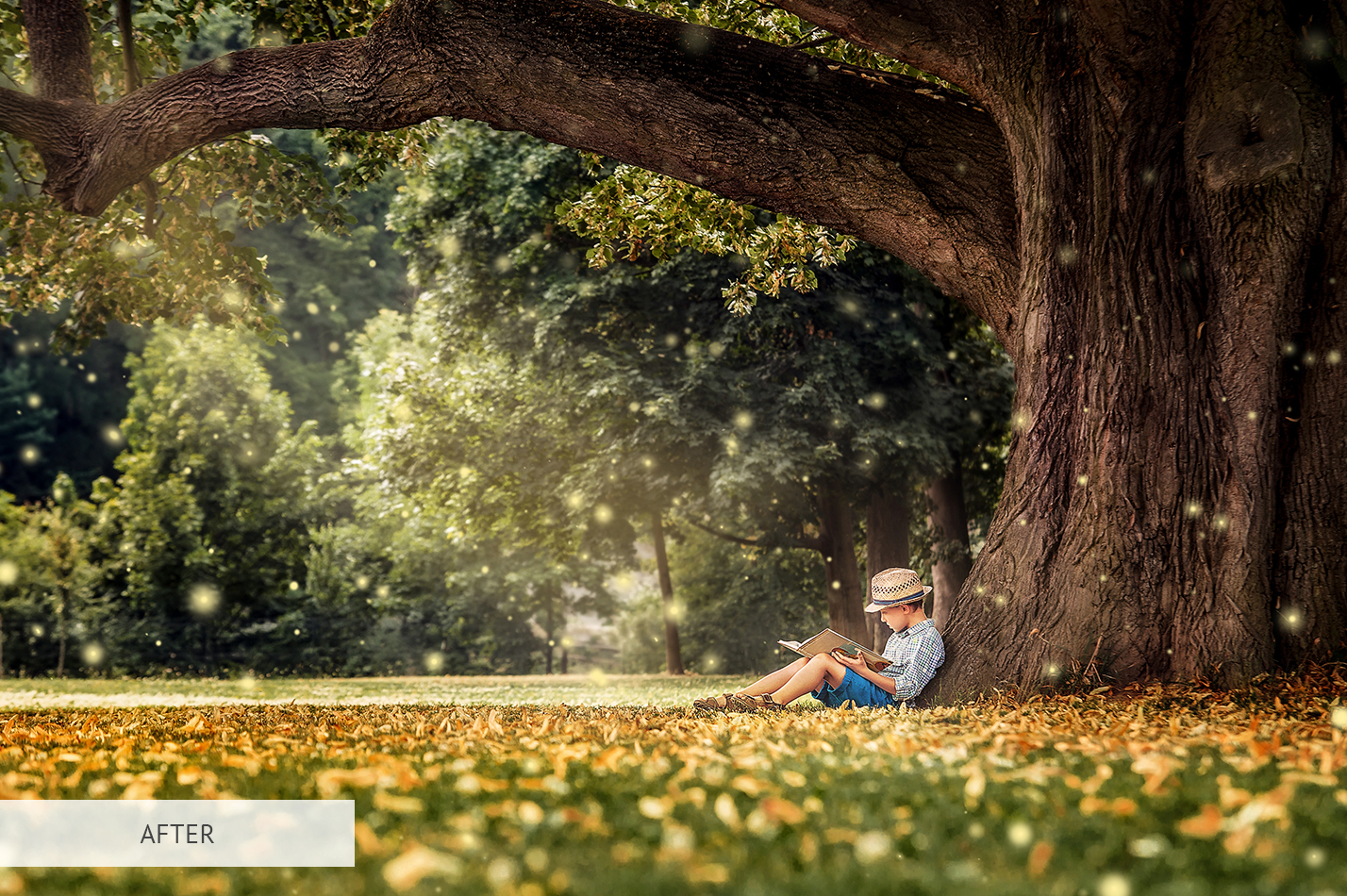 Shining Fireflies Photoshop Overlays |46 Unique Firefly Overlays