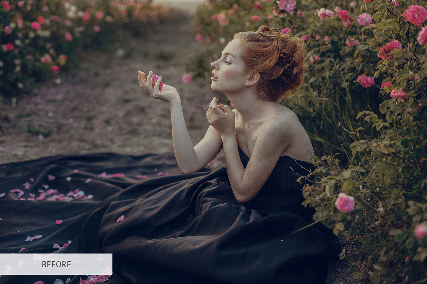 Shining Fireflies Photoshop Overlays |46 Unique Firefly Overlays