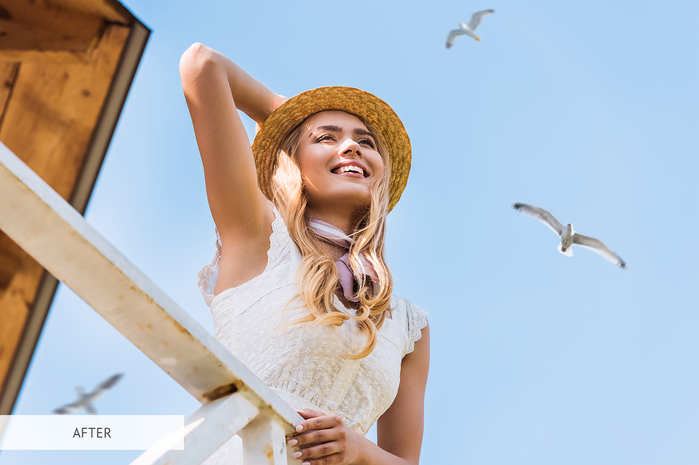 Flying Seagulls Photoshop Overlay – 31 High-quality Photoshop Overlays