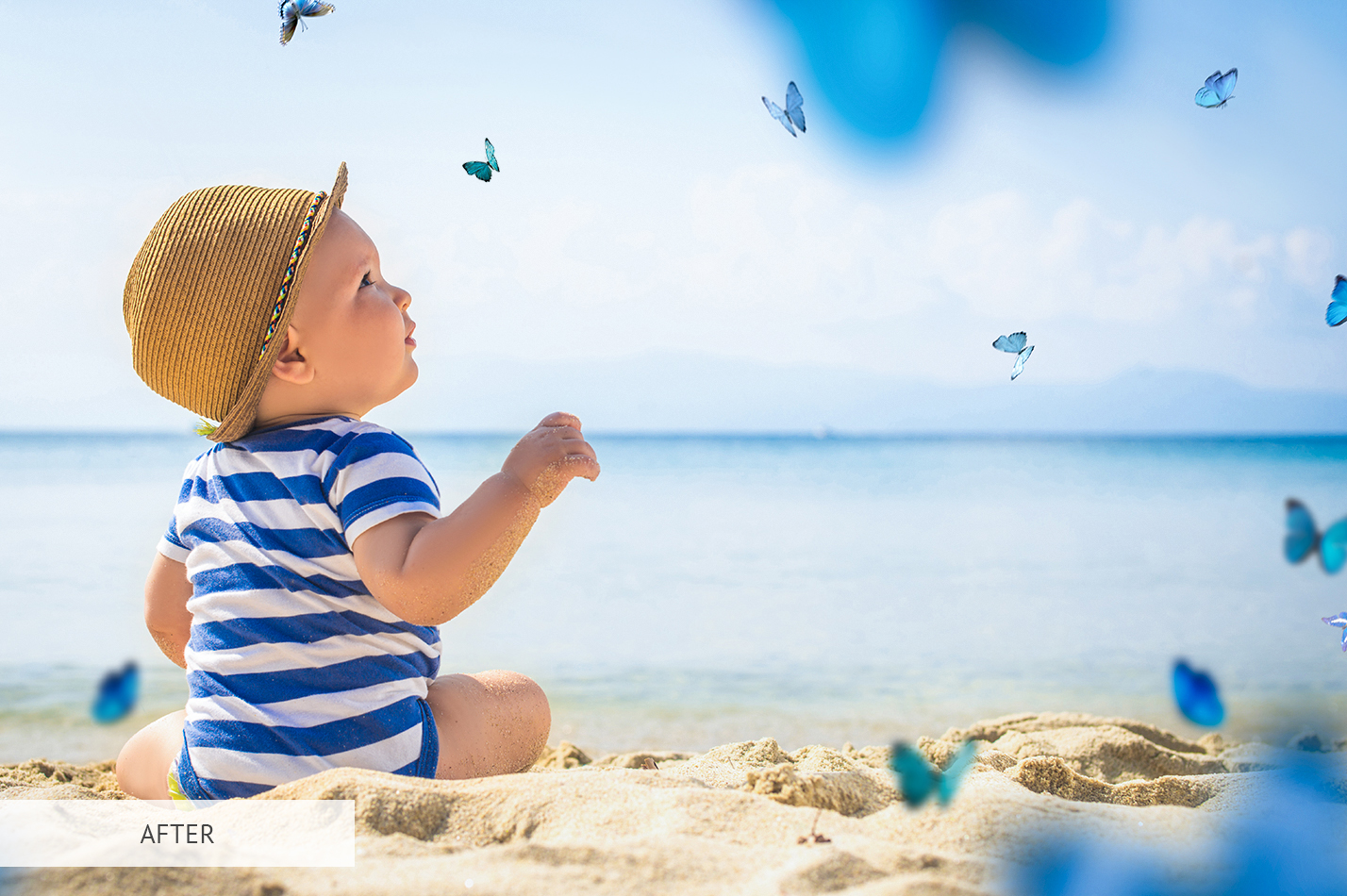 Butterfly Photoshop Overlay|Photoshop Butterfly Overlay Collection