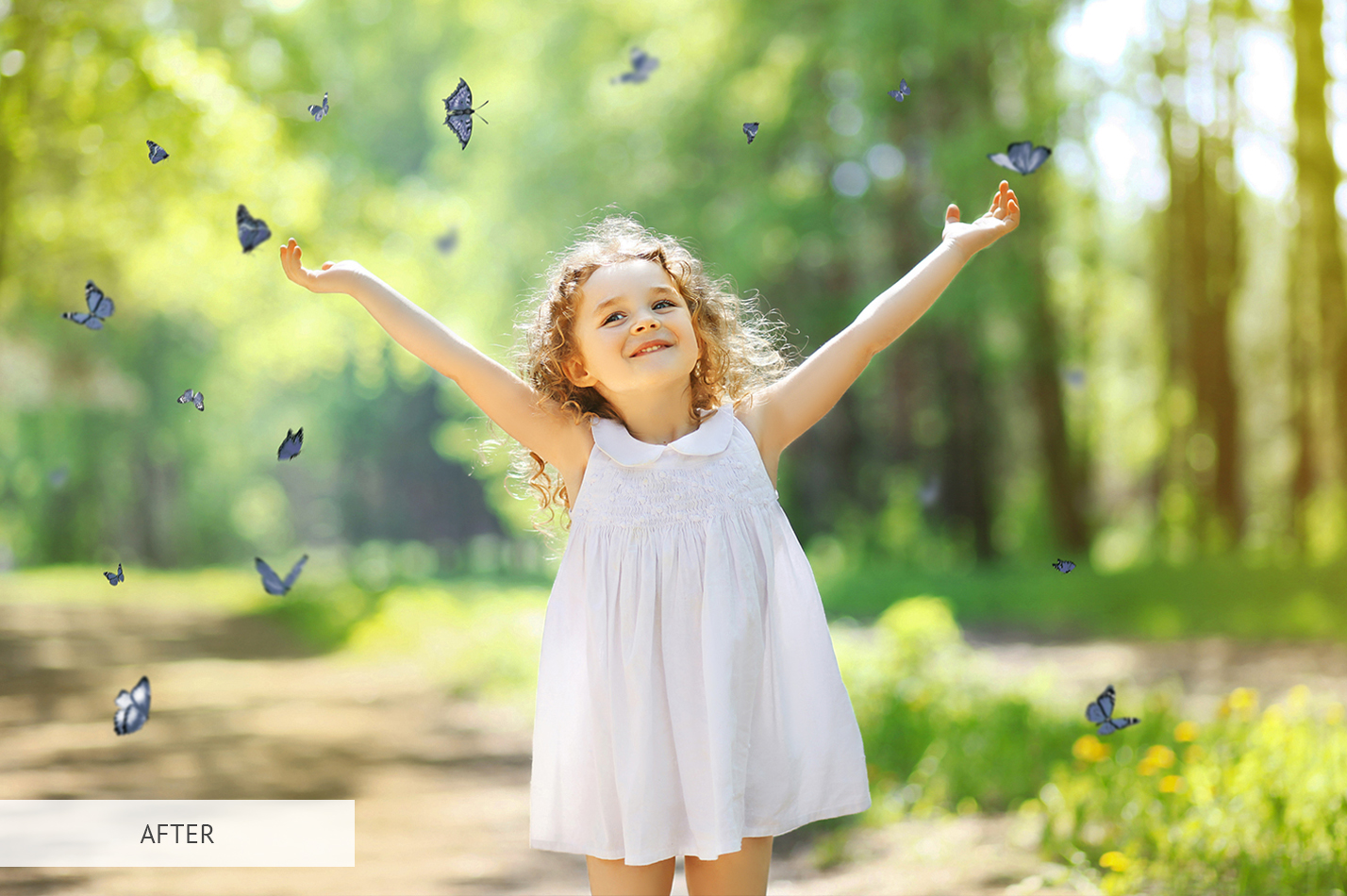 Butterfly Photoshop Overlay|Photoshop Butterfly Overlay Collection