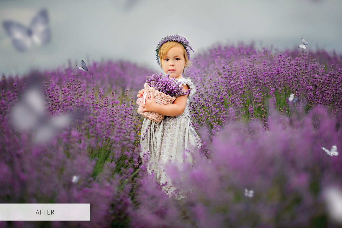 Butterfly Photoshop Overlay|Photoshop Butterfly Overlay Collection