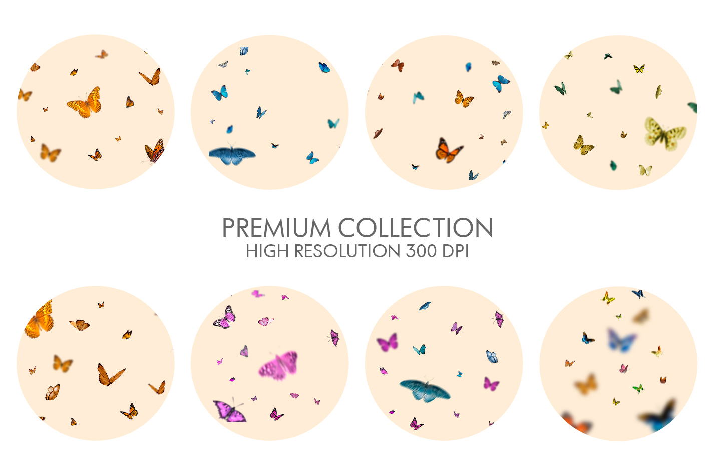 Butterfly Photoshop Overlay|Photoshop Butterfly Overlay Collection