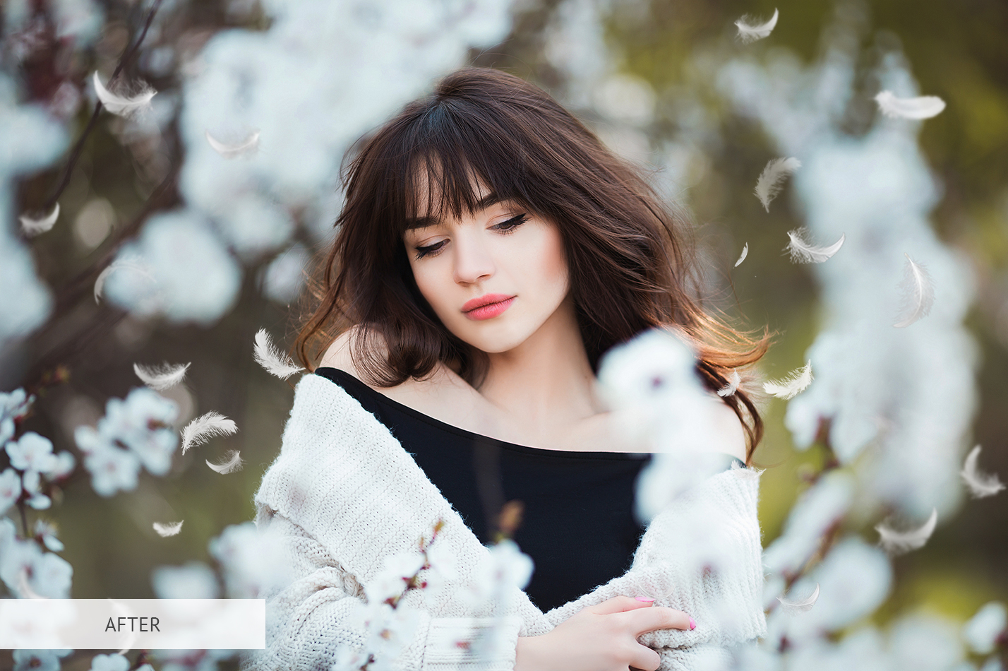 Photoshop Feather Overlay|Collection of Feather Overlays Photoshop