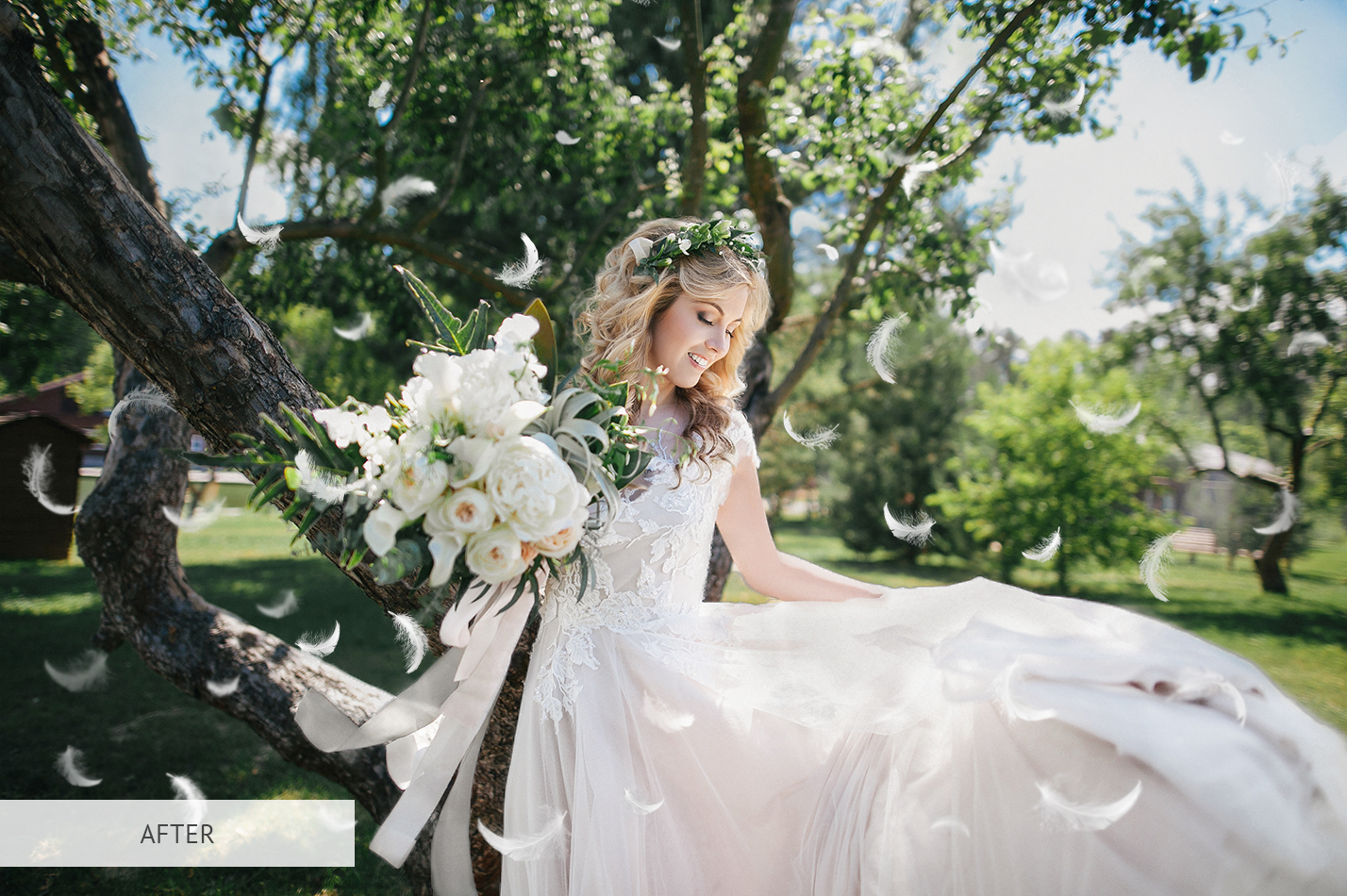 Photoshop Feather Overlay|Collection of Feather Overlays Photoshop