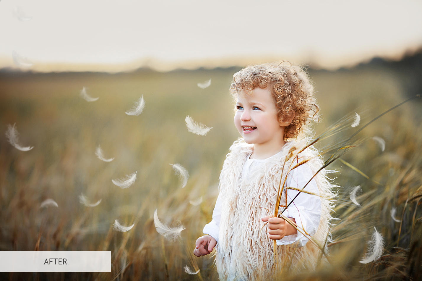 Photoshop Feather Overlay|Collection of Feather Overlays Photoshop