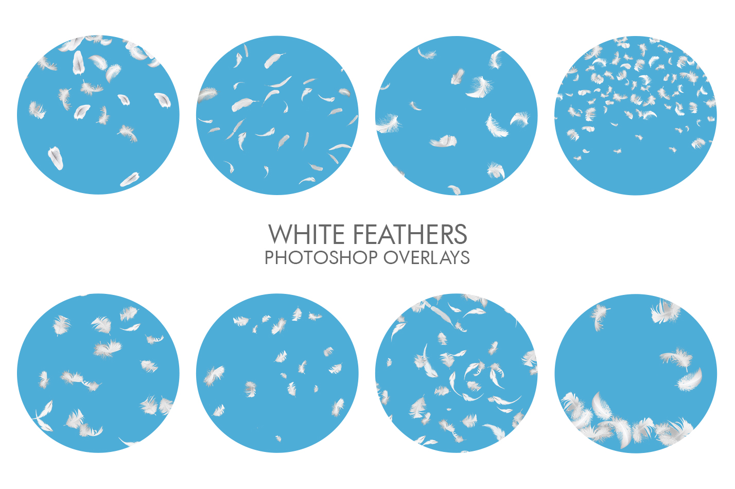 Photoshop Feather Overlay|Collection of Feather Overlays Photoshop