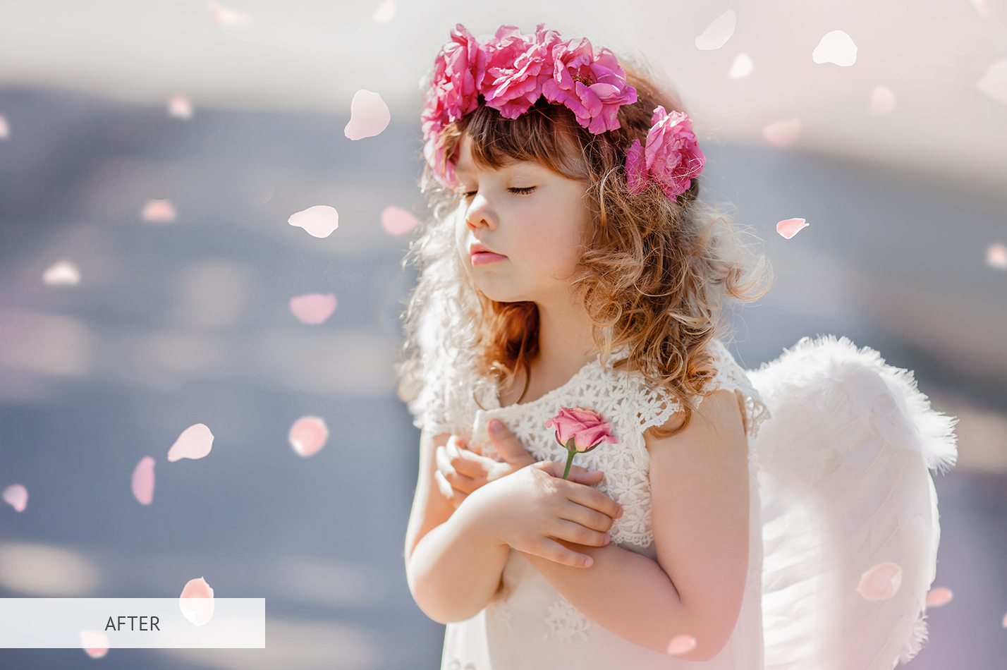 Falling Rose Petals Overlay|Photoshop Rose Petals Overlays