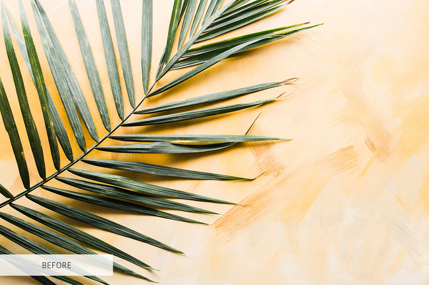 Water Photoshop Textures – 50 Water Textures in one Set