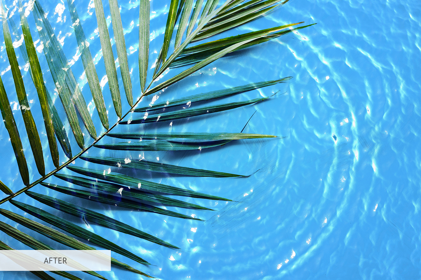 Water Photoshop Textures – 50 Water Textures in one Set