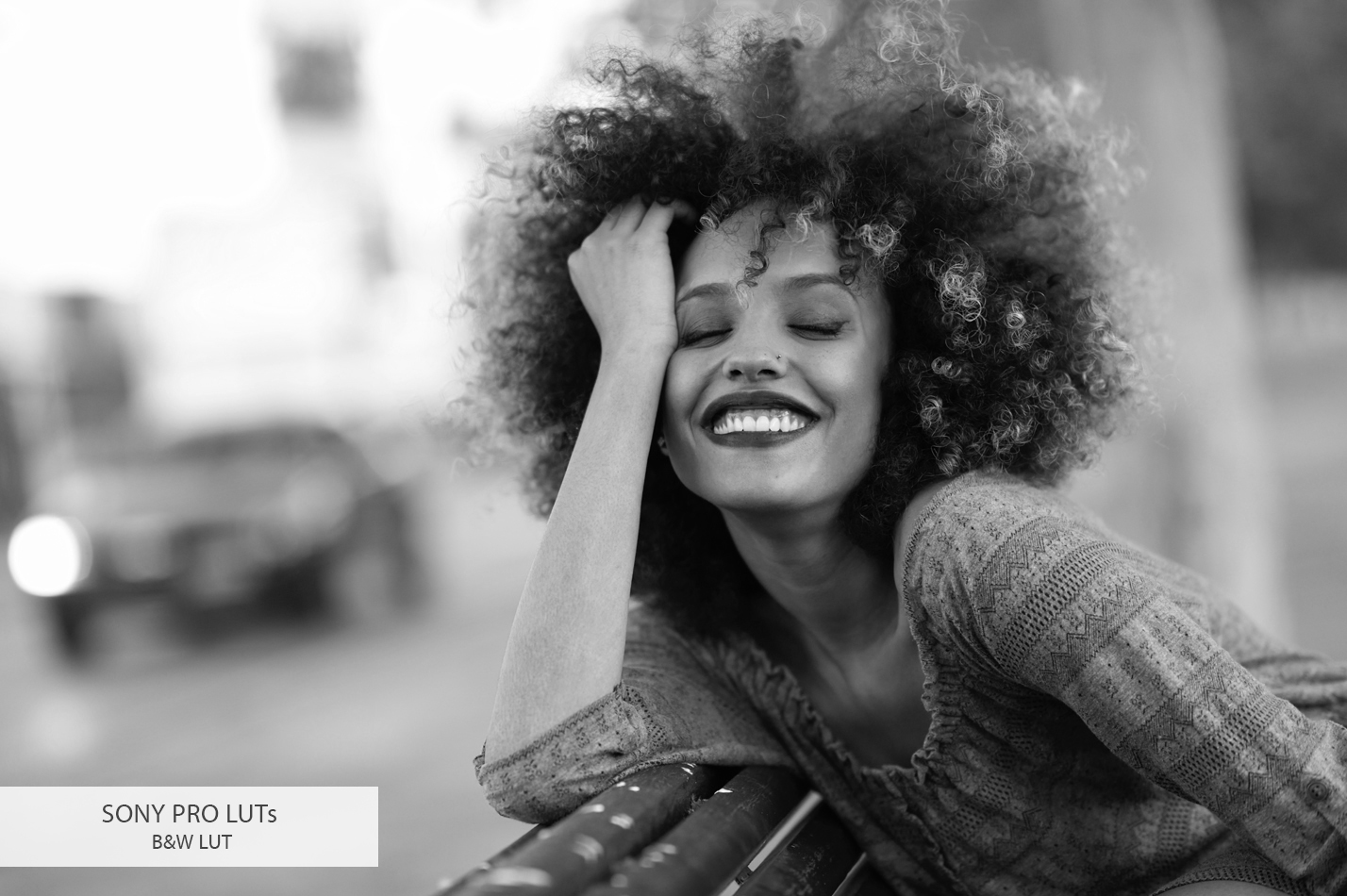 Premium Collection of 20 Pro Sony LUTs| Sony LUT Download