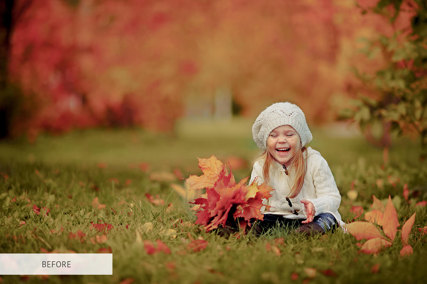 Download Leaves Overlay Photoshop|The best Photoshop Overlay of Leaves