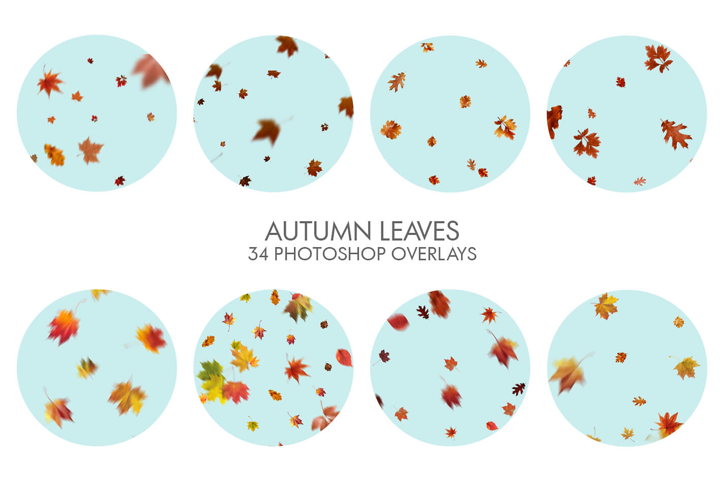 Download Leaves Overlay Photoshop|The best Photoshop Overlay of Leaves