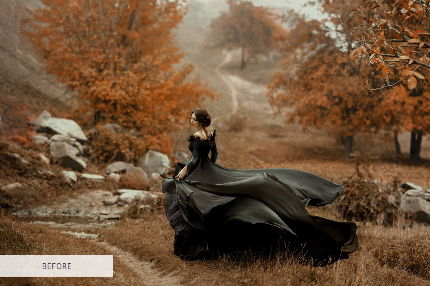 Bird Flight Photoshop Overlays – 58 Bird Overlays in PNG Format