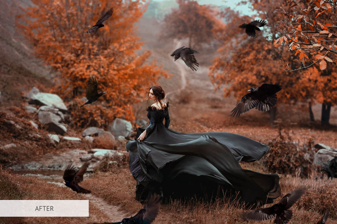 Bird Flight Photoshop Overlays – 58 Bird Overlays in PNG Format