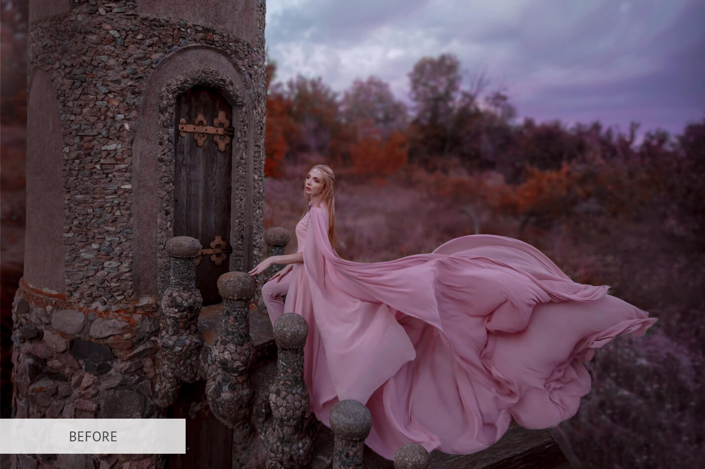 Bird Flight Photoshop Overlays – 58 Bird Overlays in PNG Format