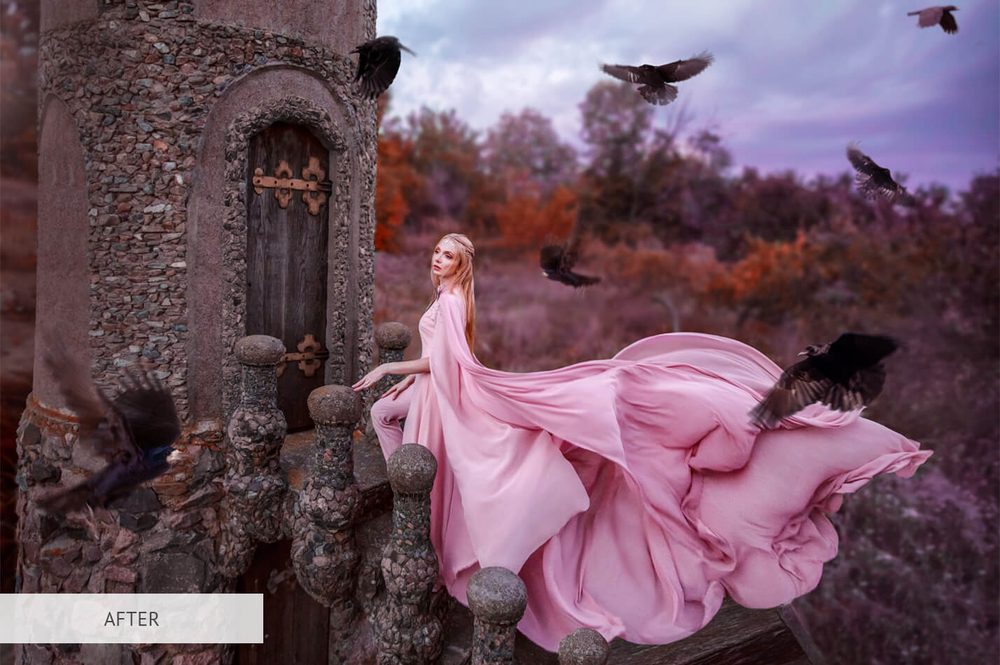 Bird Flight Photoshop Overlays – 58 Bird Overlays in PNG Format