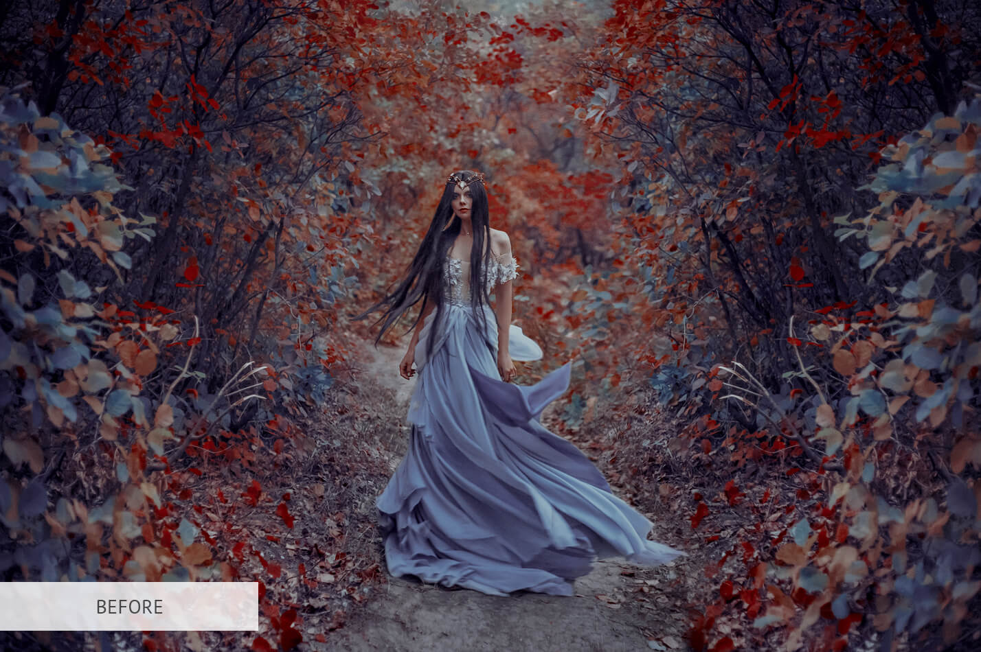 Bird Flight Photoshop Overlays – 58 Bird Overlays in PNG Format