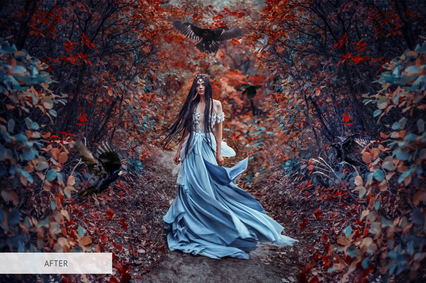 Bird Flight Photoshop Overlays – 58 Bird Overlays in PNG Format