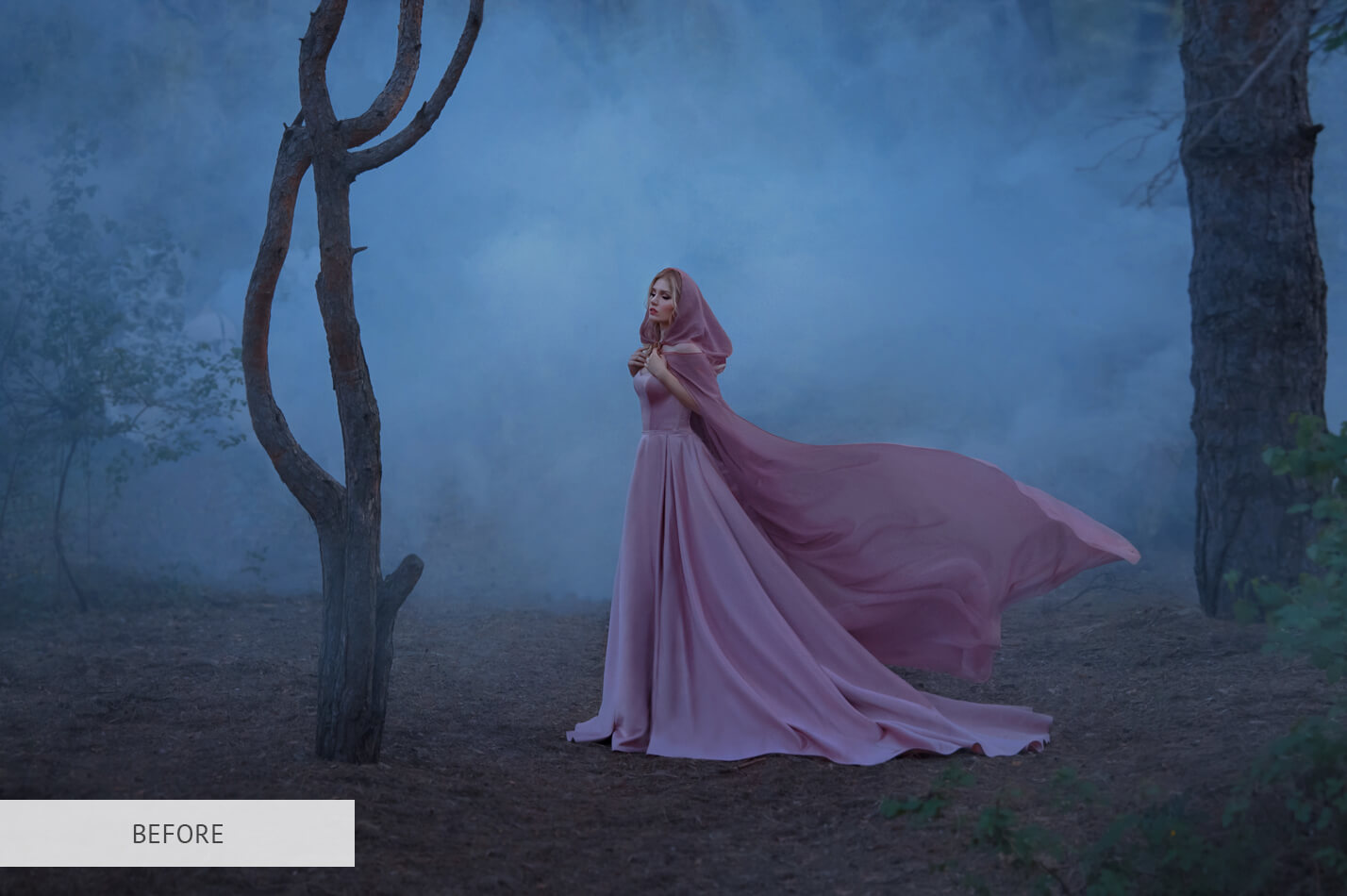 Bird Flight Photoshop Overlays – 58 Bird Overlays in PNG Format