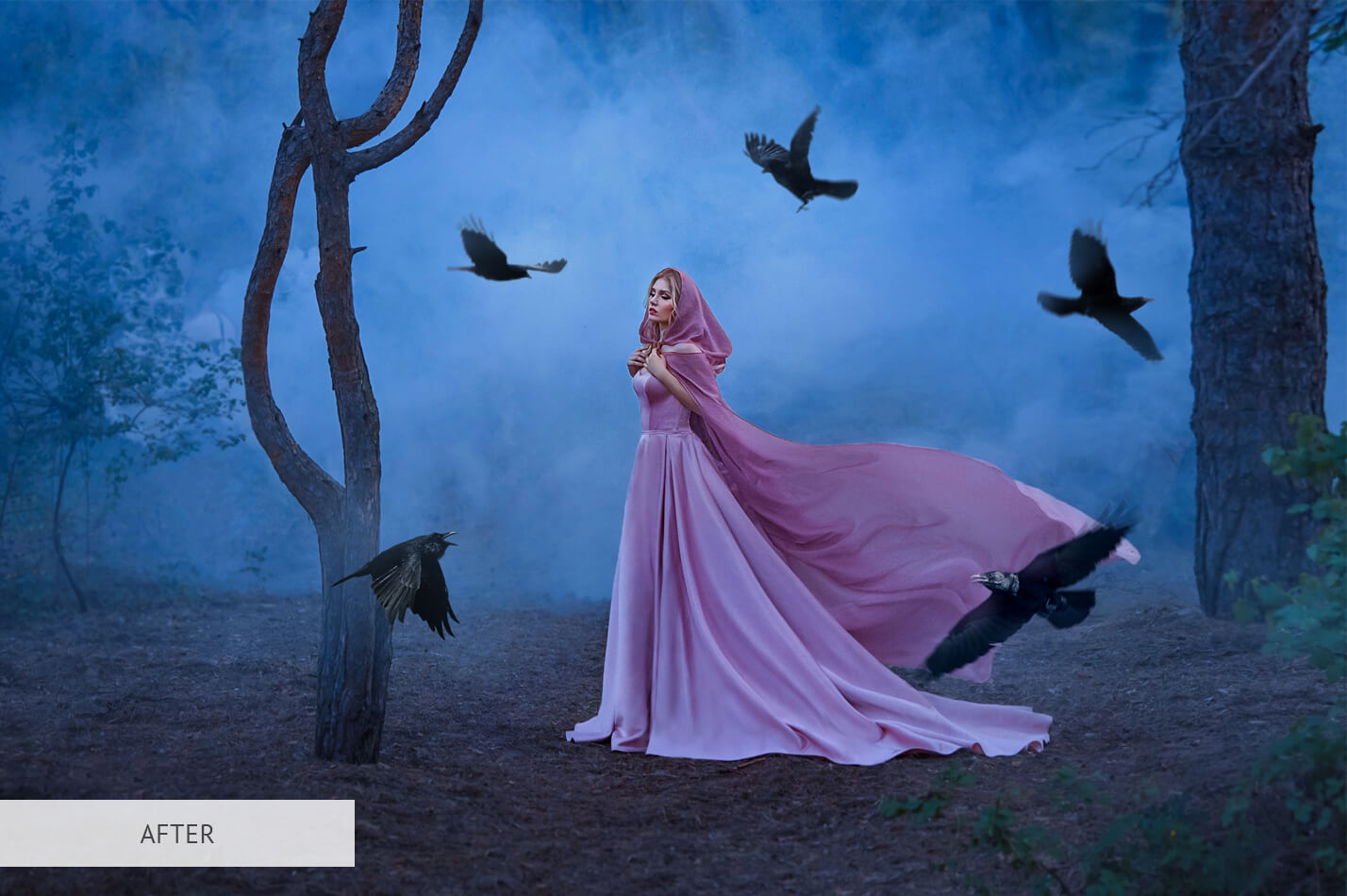 Bird Flight Photoshop Overlays – 58 Bird Overlays in PNG Format