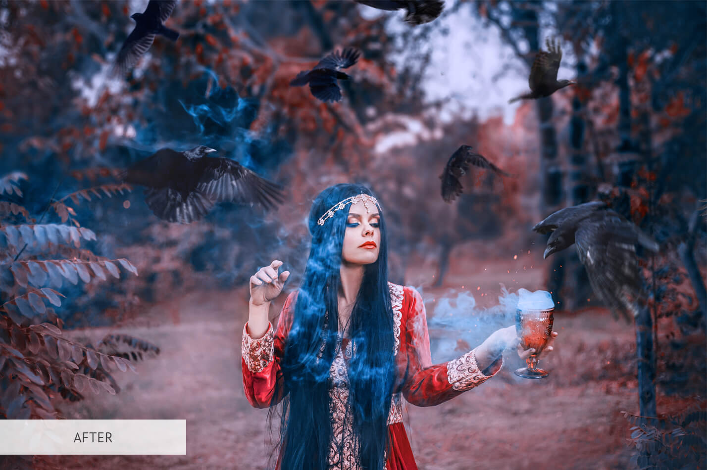 Bird Flight Photoshop Overlays – 58 Bird Overlays in PNG Format