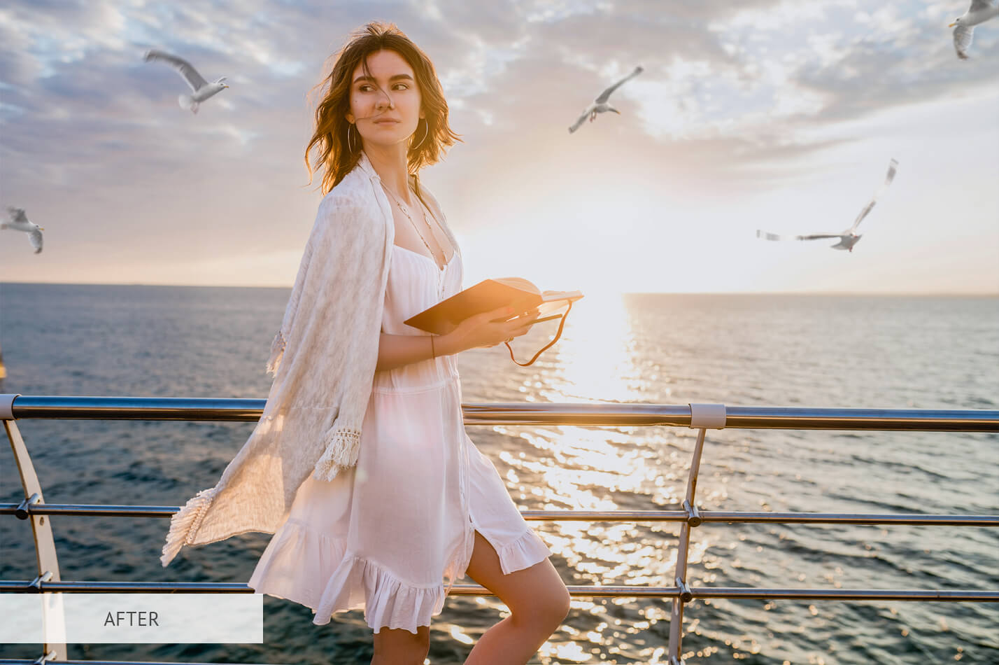 Bird Flight Photoshop Overlays – 58 Bird Overlays in PNG Format