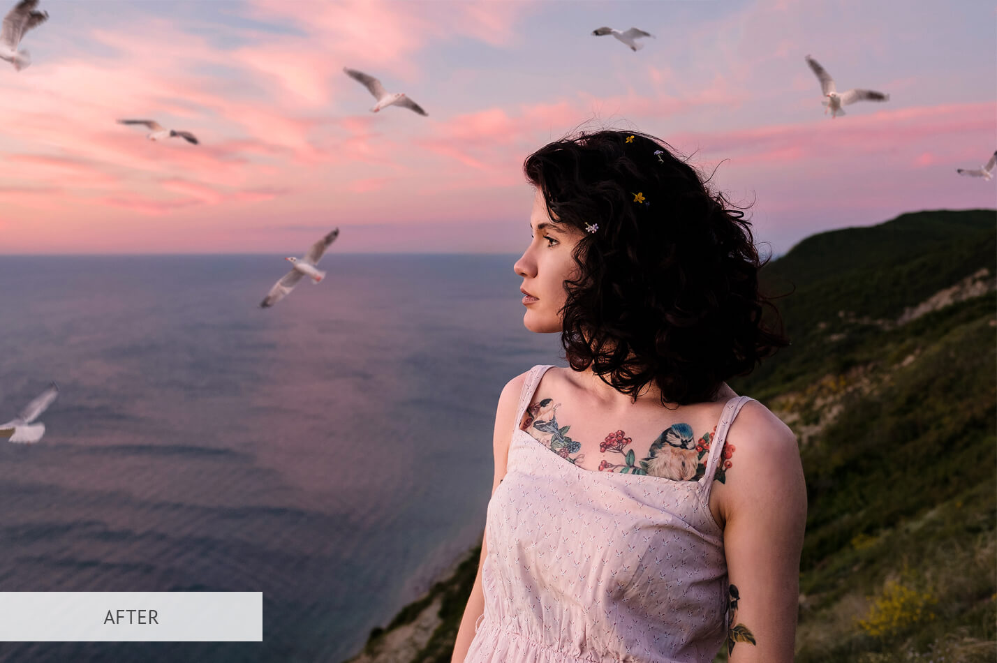 Bird Flight Photoshop Overlays – 58 Bird Overlays in PNG Format