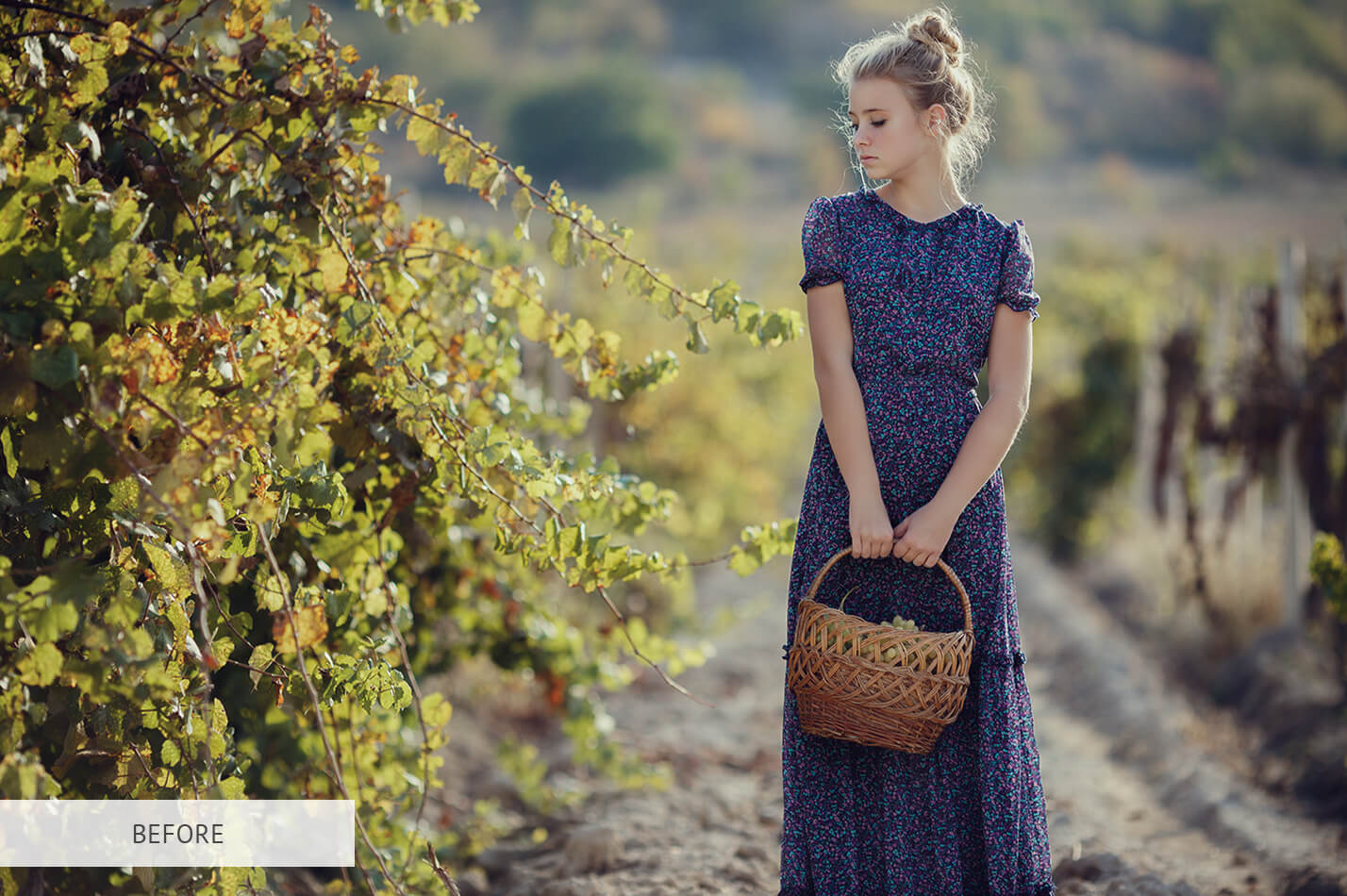 The Best Sun Overlay Collection|40 Sun Overlays for Photoshop
