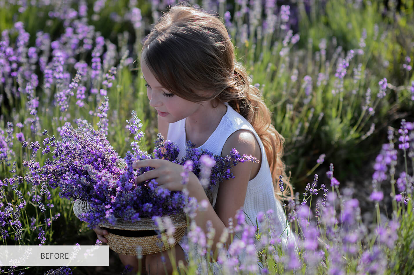 The Best Sun Overlay Collection|40 Sun Overlays for Photoshop