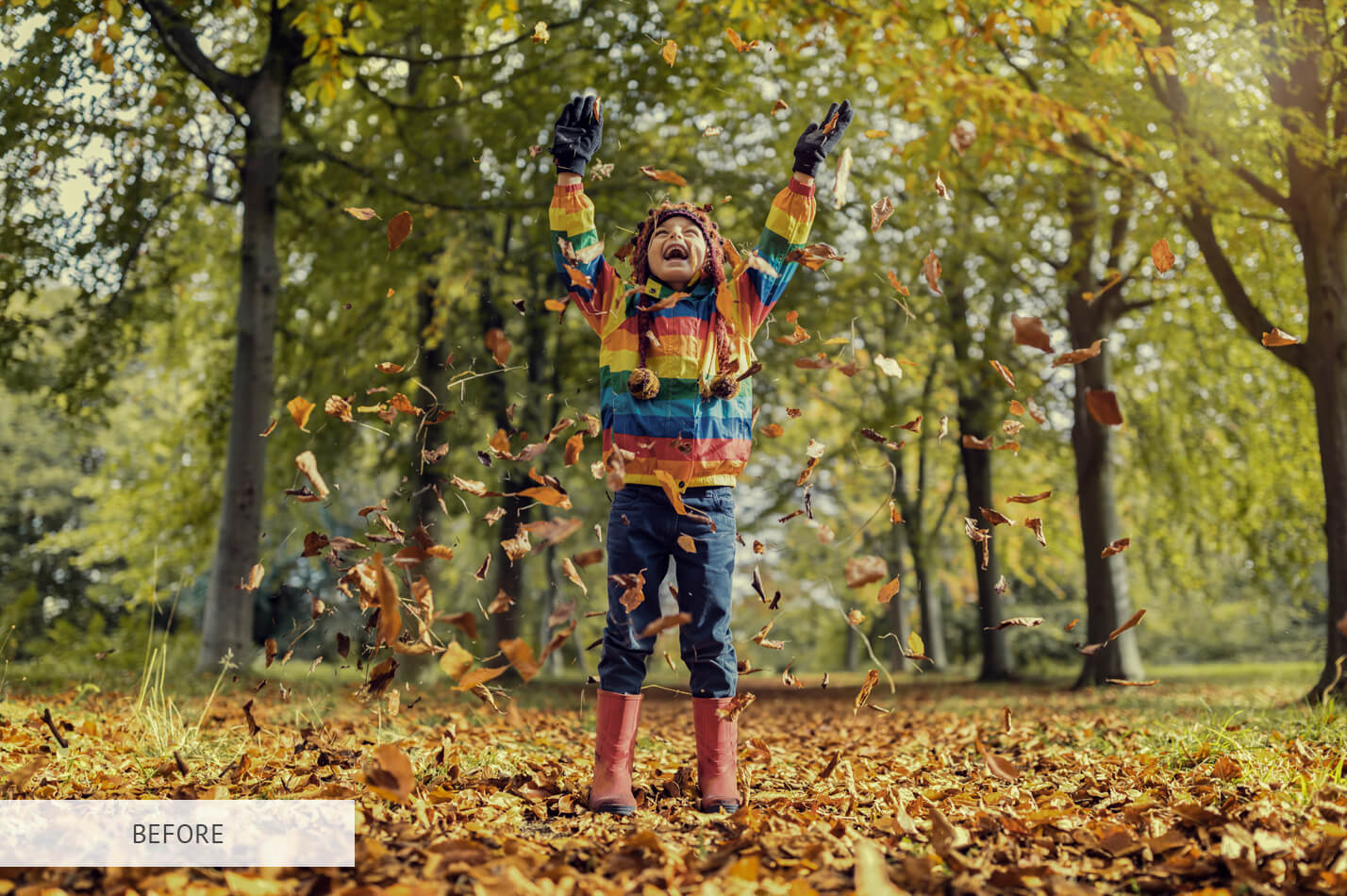 Vignette Effect Photoshop Overlays - Premium Collection