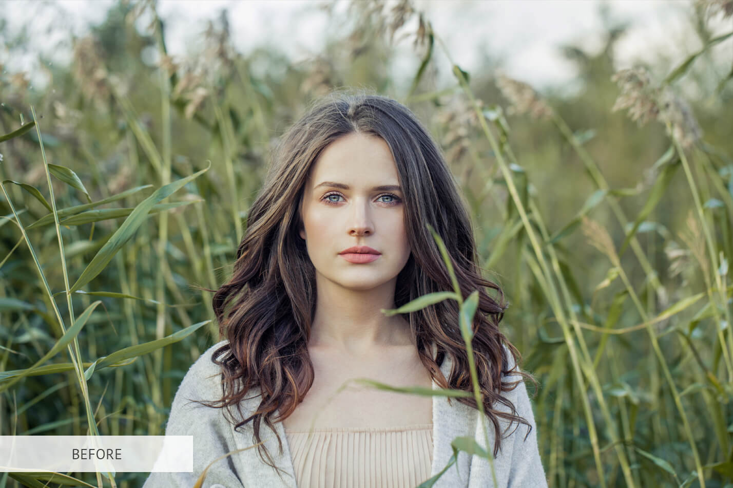 Vignette Effect Photoshop Overlays - Premium Collection