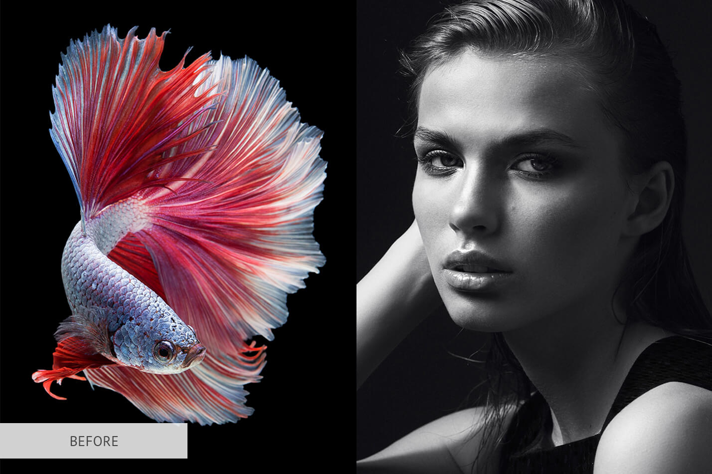 Color Double Exposure Photoshop Action|Photoshop Double Exposure Action