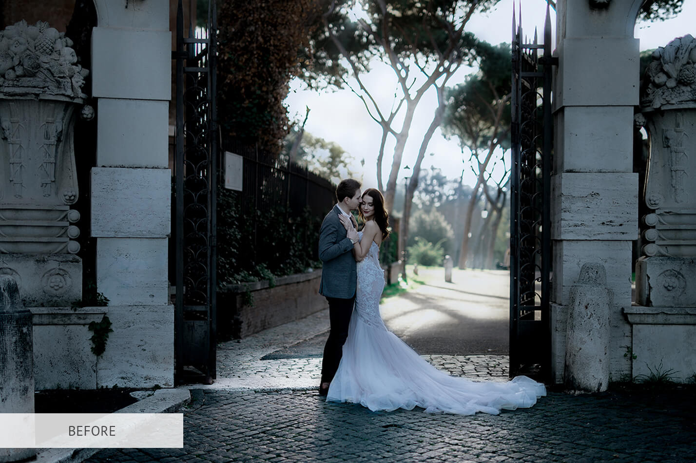 Elegant Wedding Photoshop Actions|Wedding Photography Photoshop Action