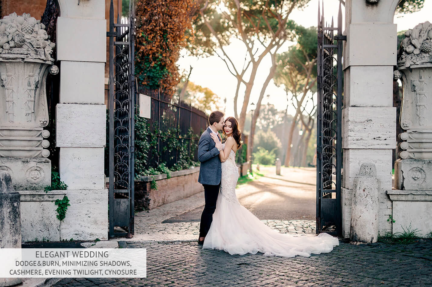 Elegant Wedding Photoshop Actions|Wedding Photography Photoshop Action