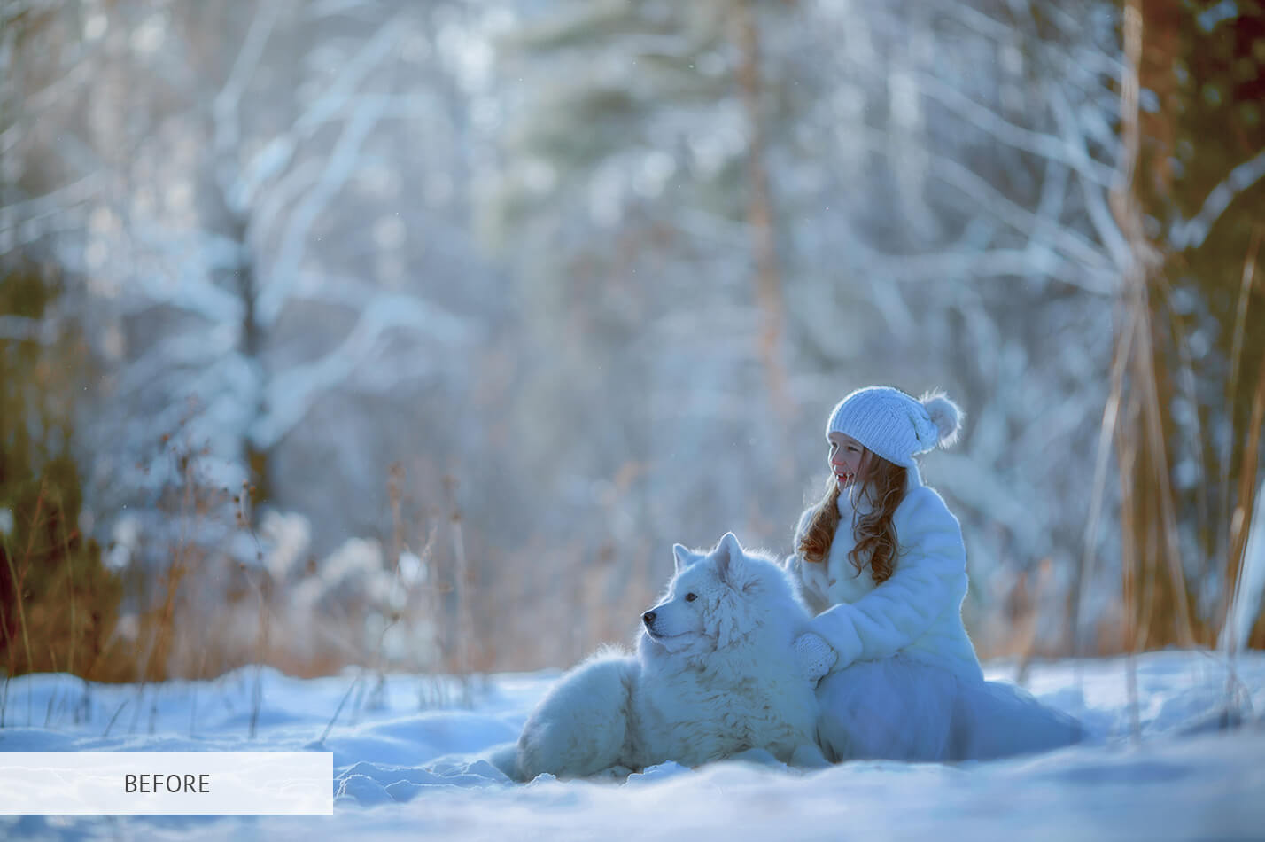 Winter Holidays Collection - 40 Professional Winter Photoshop Actions