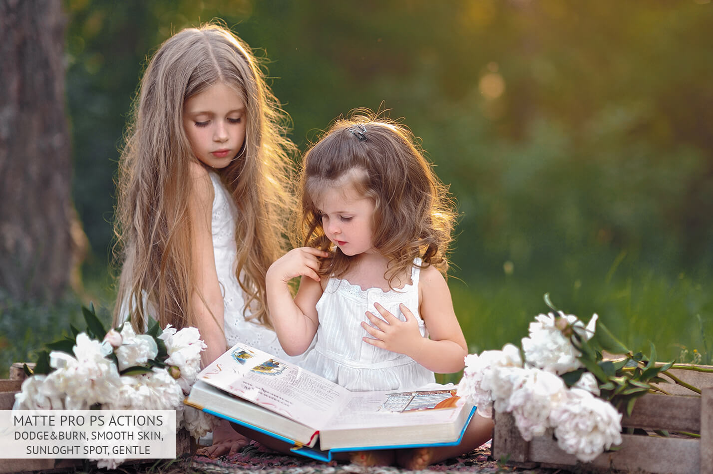 Portrait Photoshop Actions|Complete Bundle Includes 290 Pro Actions