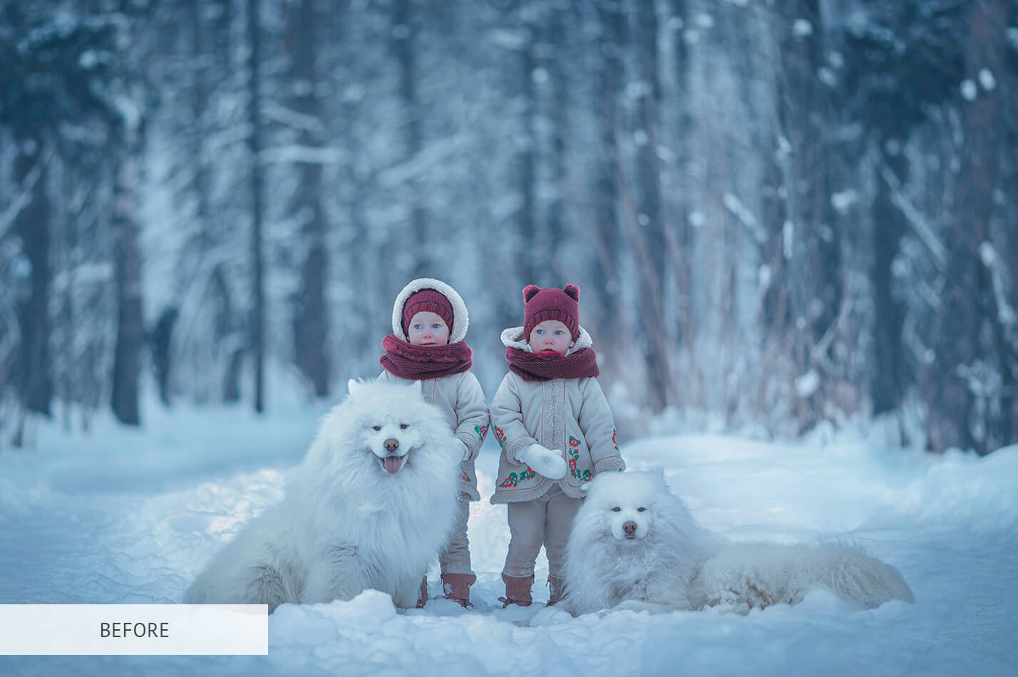 Purchase Winter Photoshop Actions – Professional Complete Collection