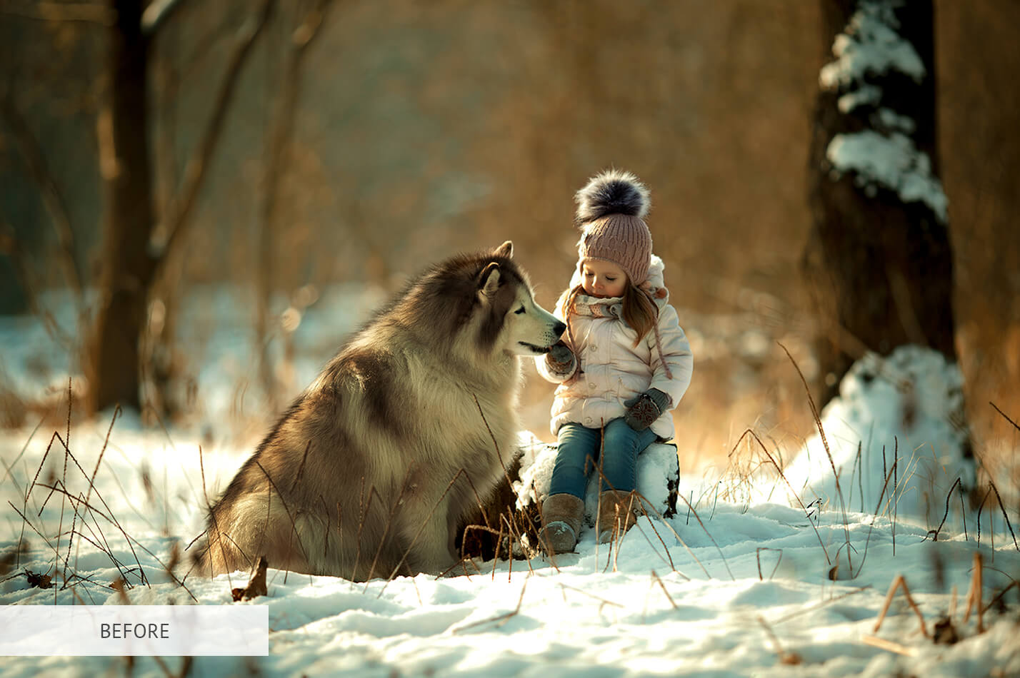 Purchase Winter Photoshop Actions – Professional Complete Collection